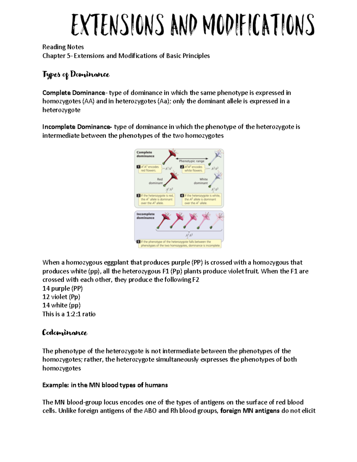 Genetics Chapter 5 Notes Extensions and Modifications - Reading Notes ...