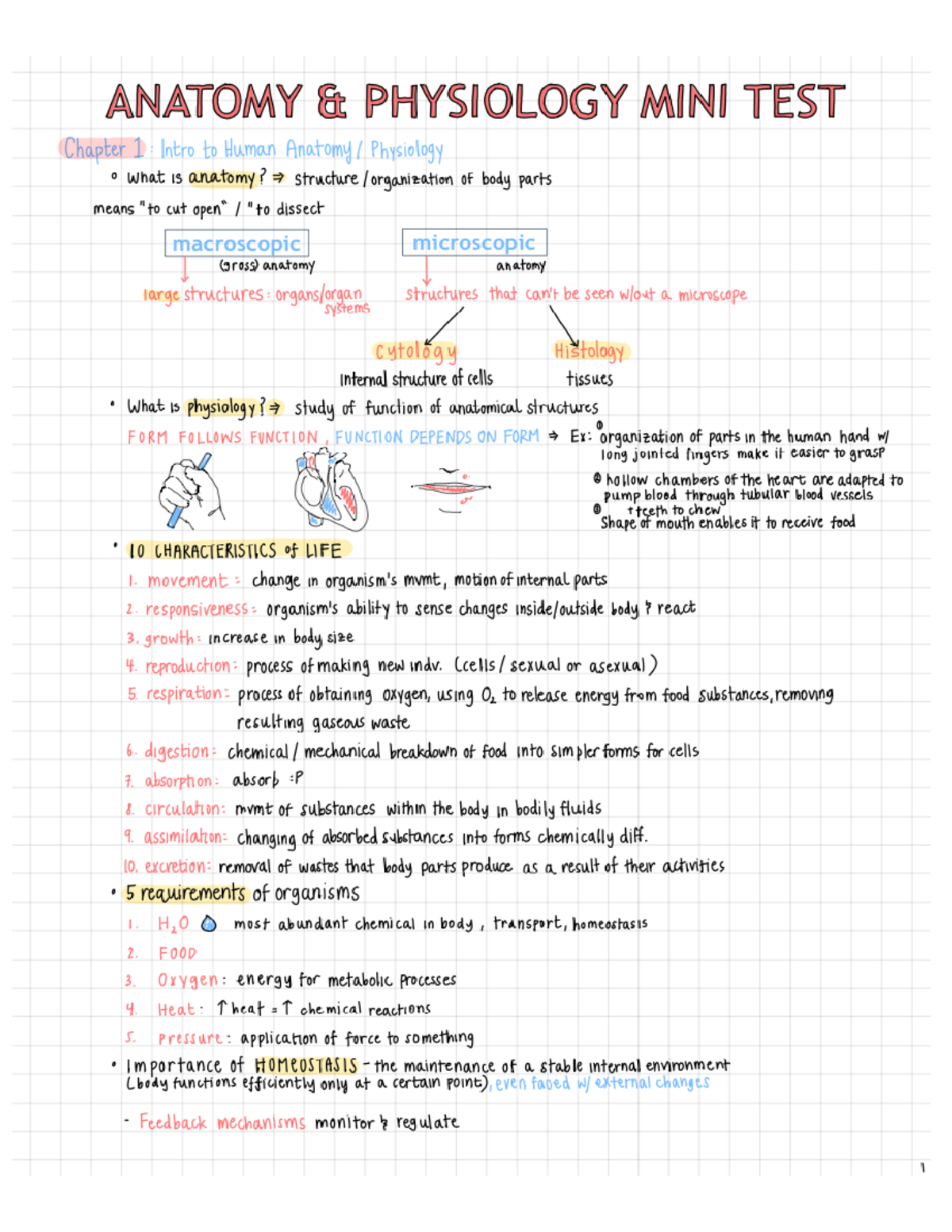 Human Anatomy & Physiology MINI TEST - bs nursing - Studocu