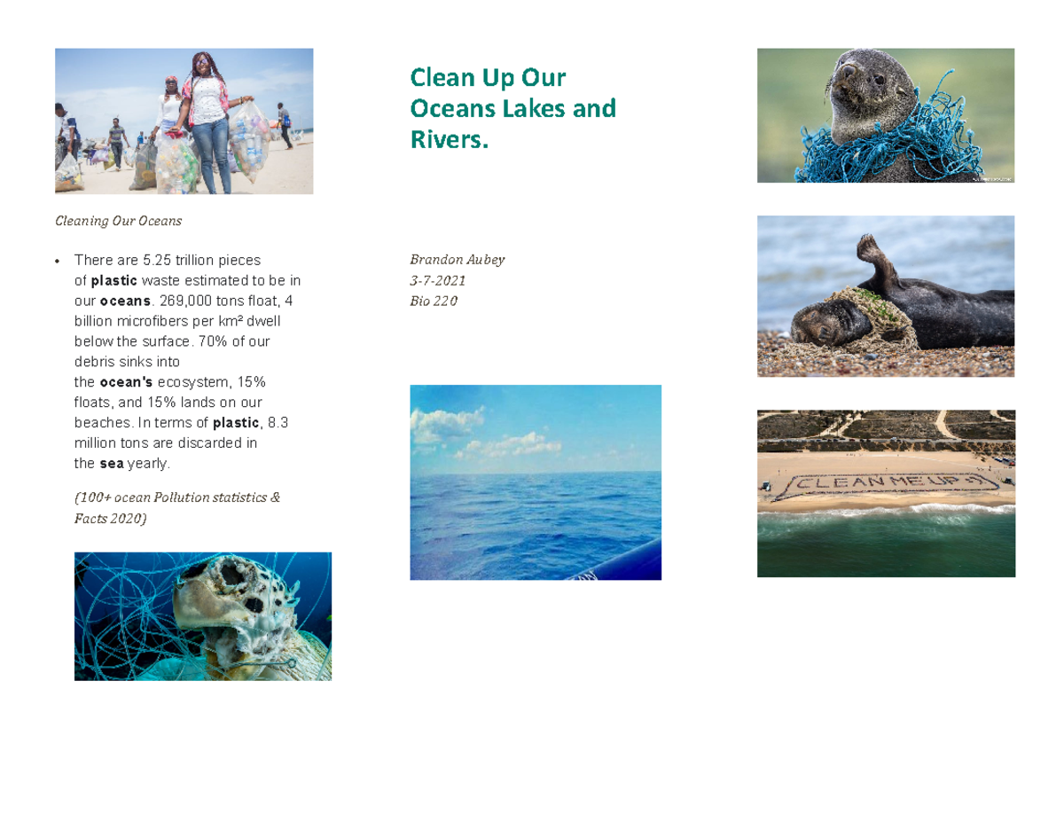 Cleaning Our Oceans - restoration pamphlet - Cleaning Our Oceans There ...
