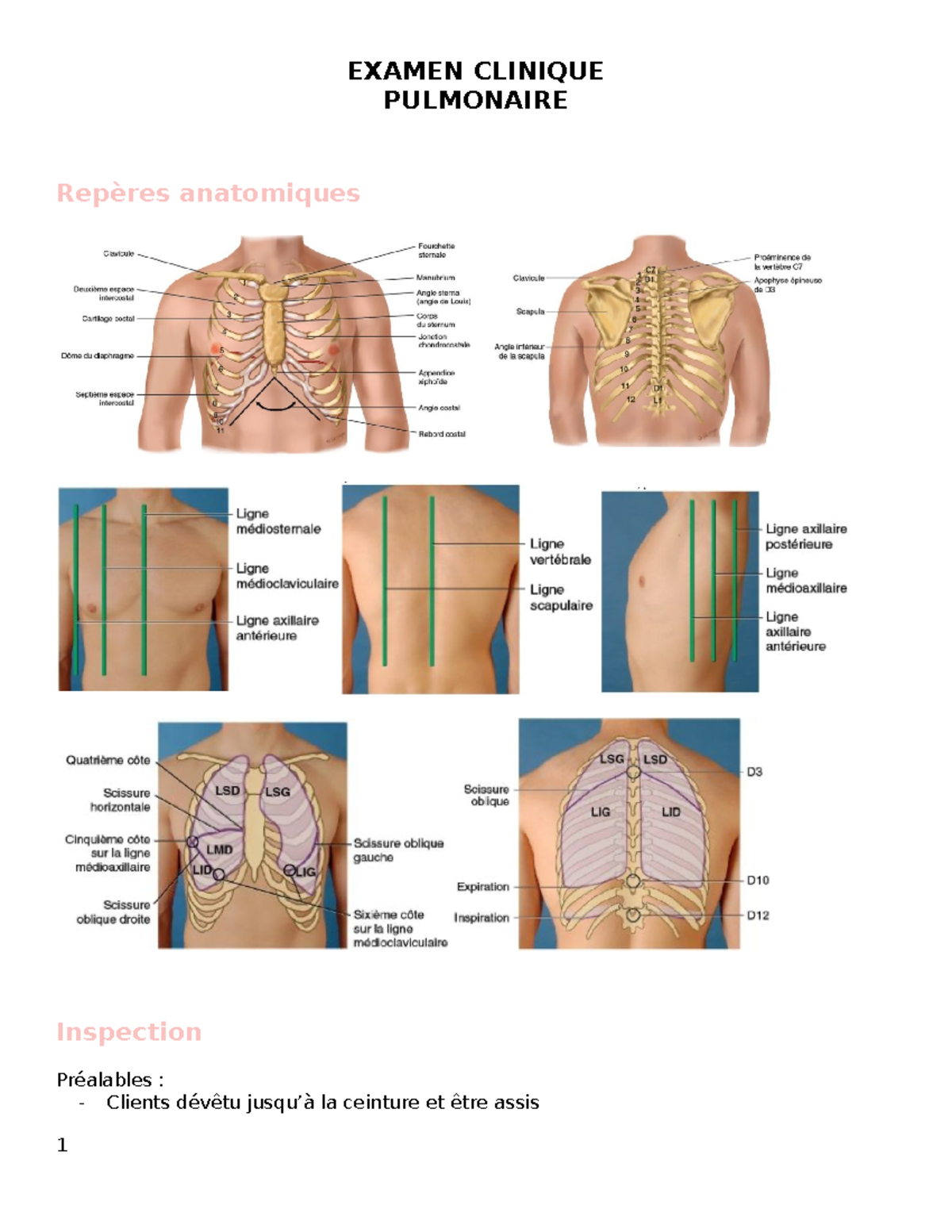Examen clinique - Pulmonaire final - EXAMEN CLINIQUE PULMONAIRE Repères ...