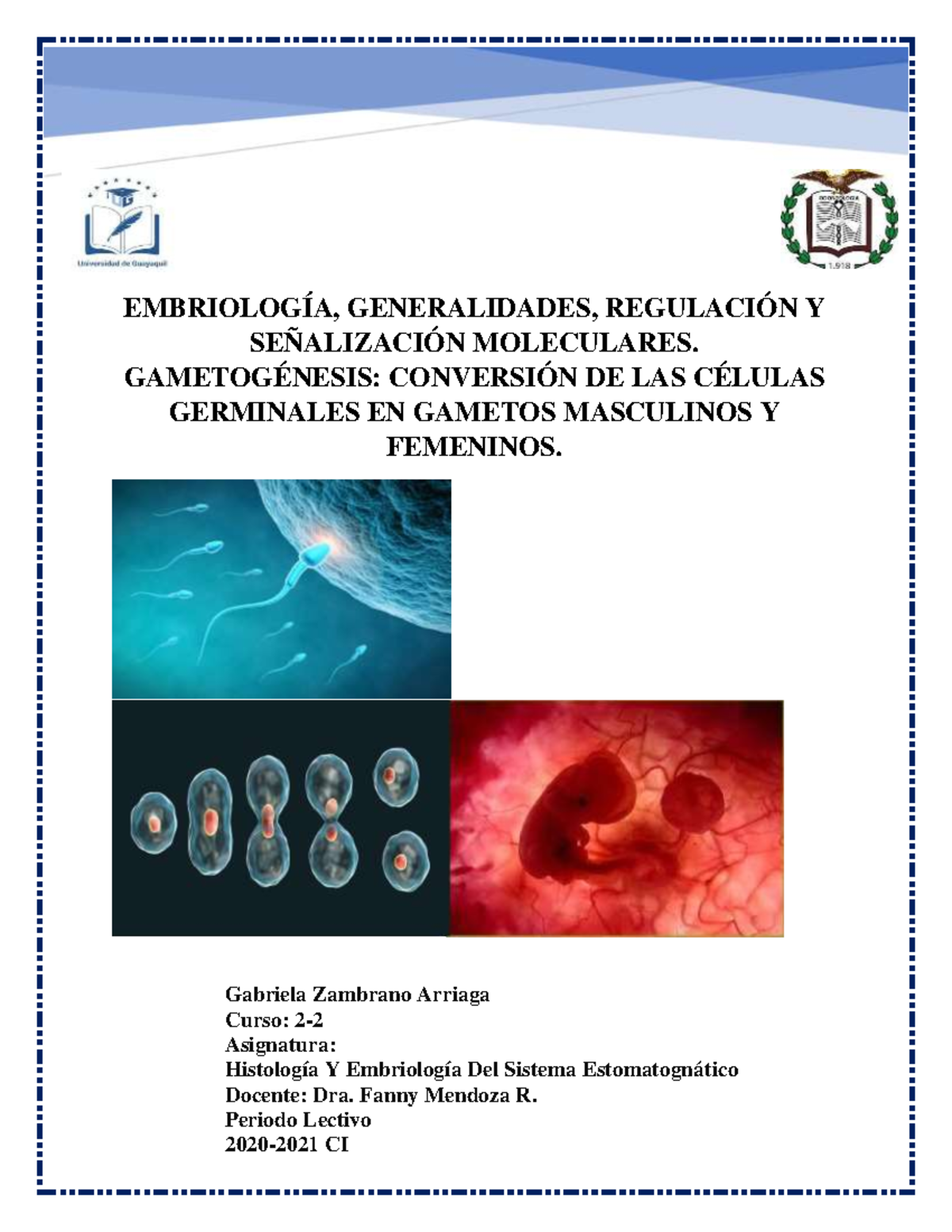 01. Resumen Clase Embriologia Y Gametogenesis Gabriela Zambrano Curso 2 ...