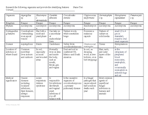 Patho Term Chart copy - Term Common Causes Signs and Symptoms Treatment ...