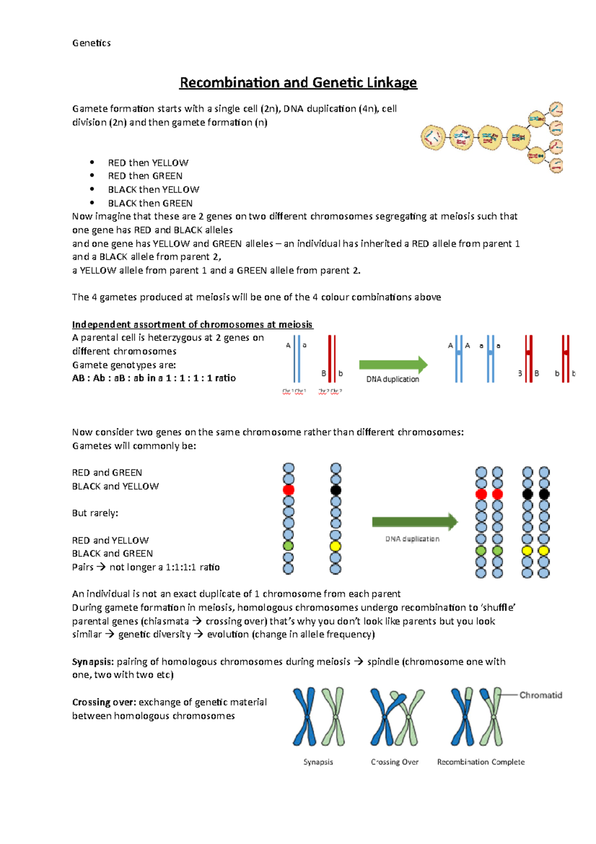 Recombination and Genetic Linkage - notes - Recombination and Genetic ...