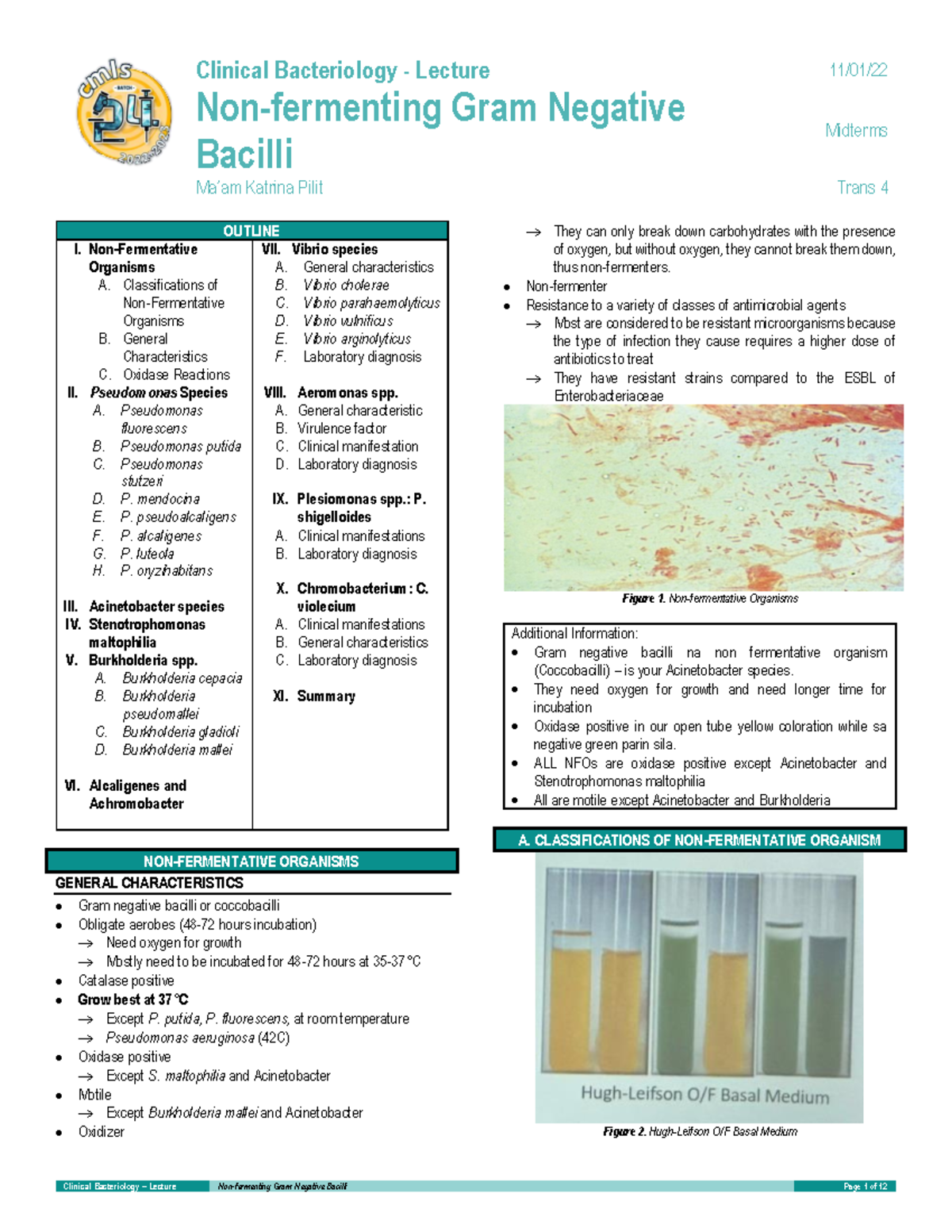 3. Nonfermenting Gram-Negative Bacilli - Clinical Bacteriology ...