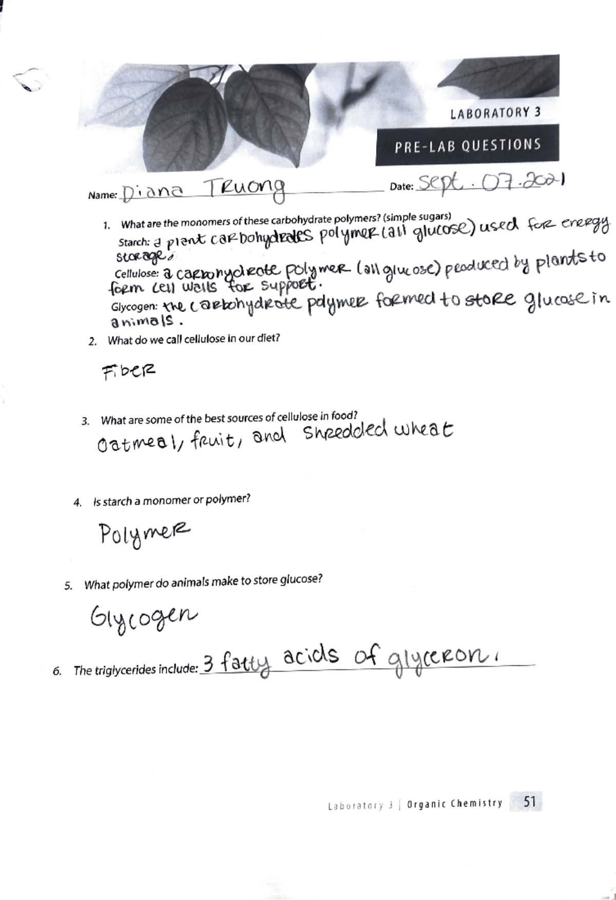 Gen bio lab 3 - Lab - LABORATORY 3 QUESTIONS Name: Diana TRuong Date ...