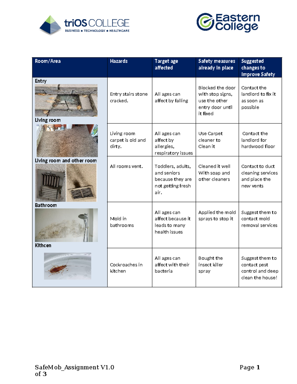 Assignment Chart - Take Home Assignment new - SafeMob_Assignment V1 ...