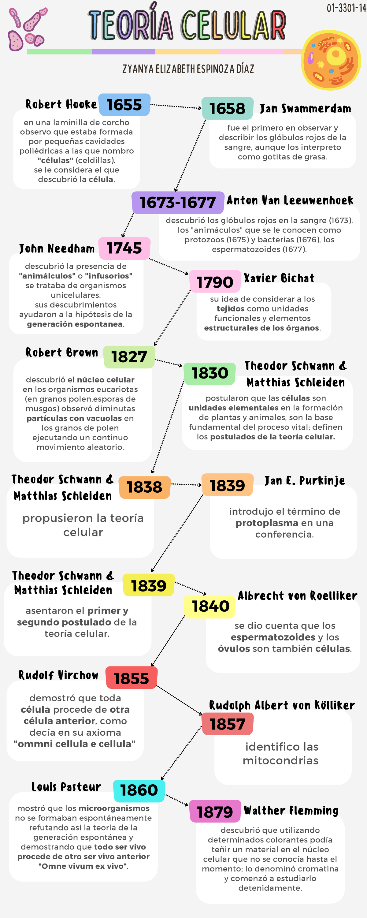 Linea del tiempo teoría celular - 1655 en una laminilla de corcho ...