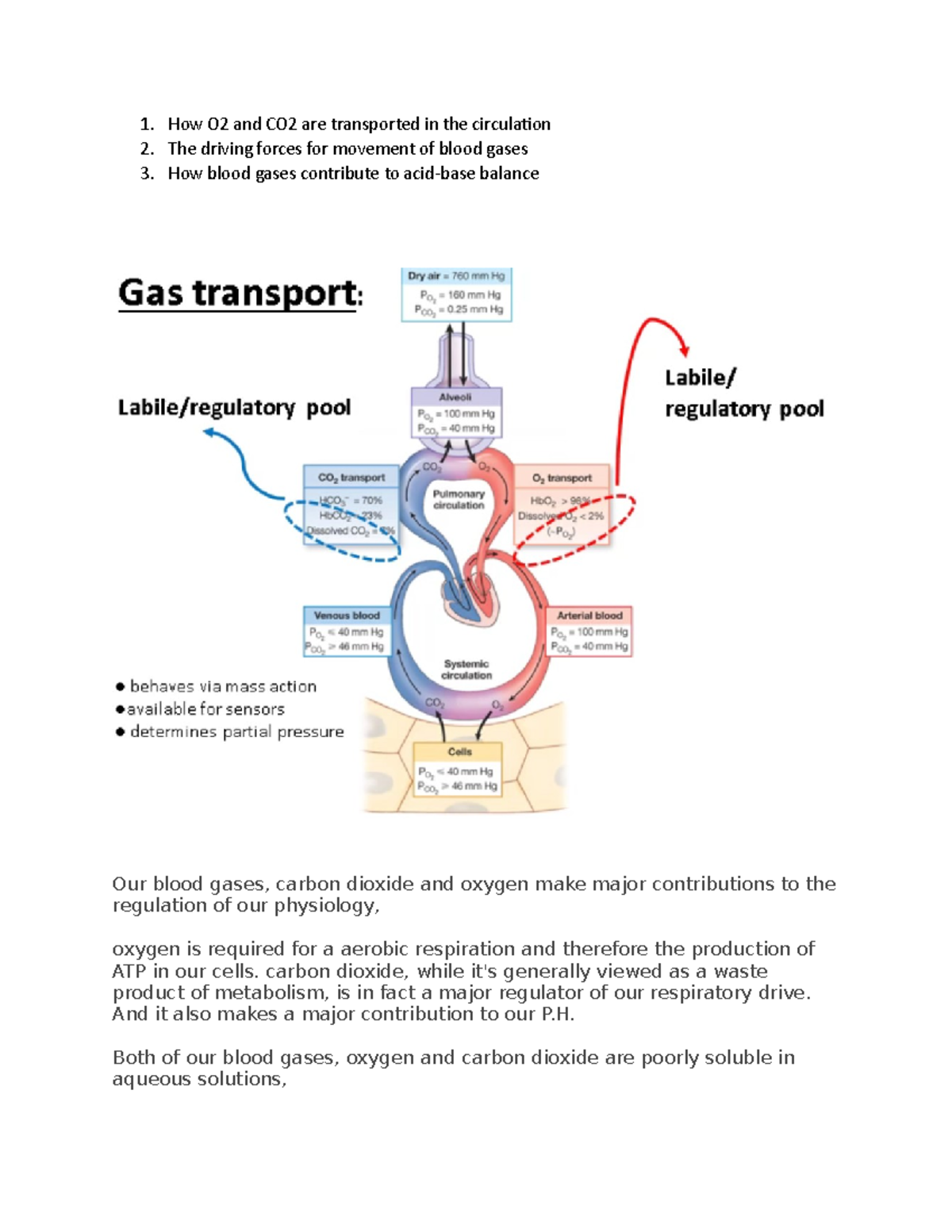 Respiratory gas transport - How O2 and CO2 are transported in the ...