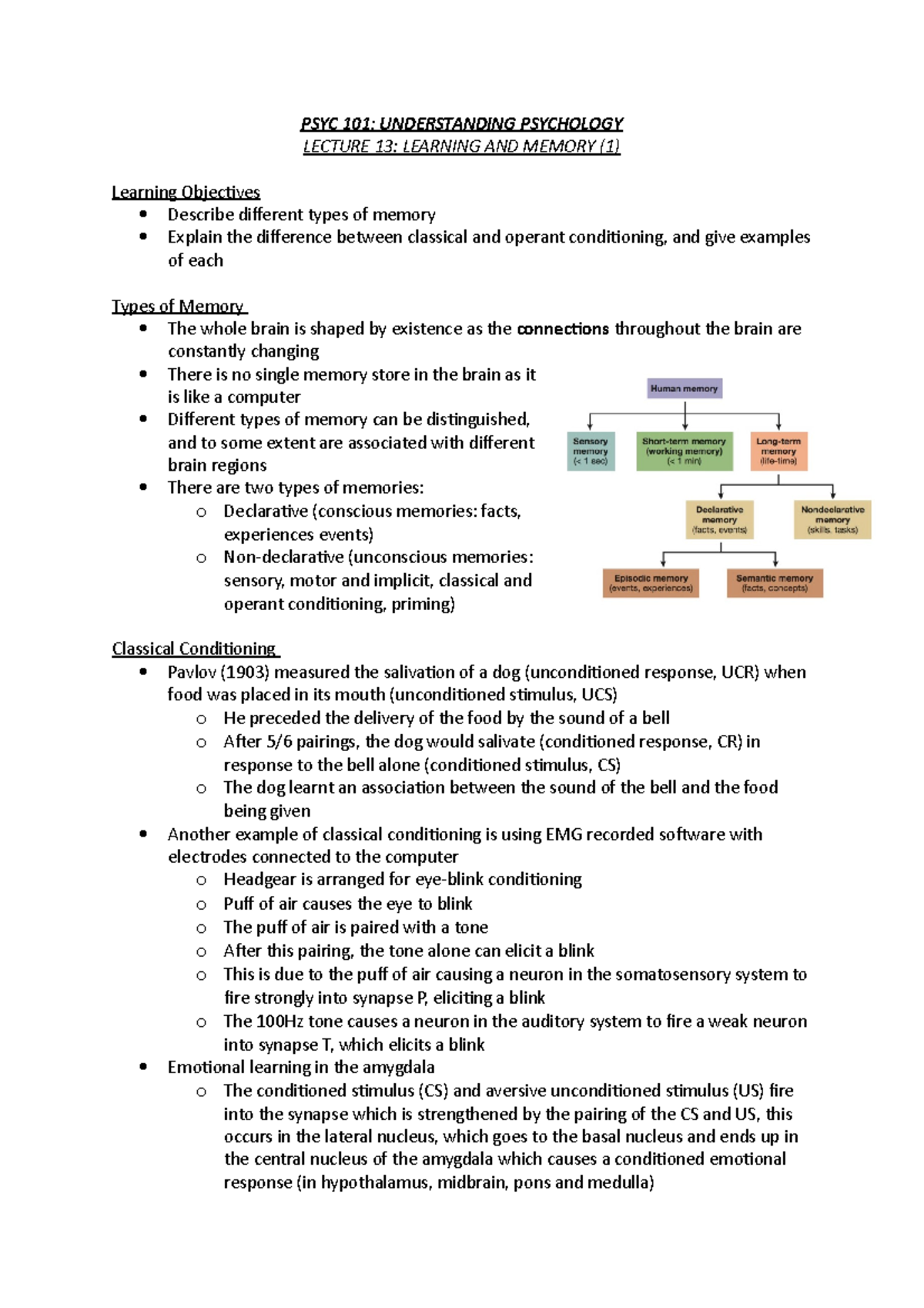 Neuroscience Lecture 13: Learning and Memory - PSYC 101: UNDERSTANDING PSYCHOLOGY LECTURE 13 ...