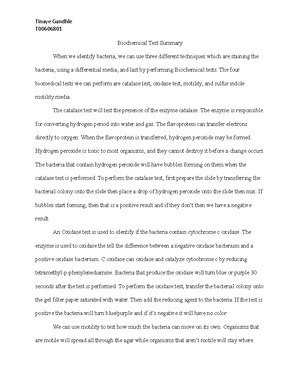 Bacterial Smear Preparation - In order to gram stain, scientists must ...