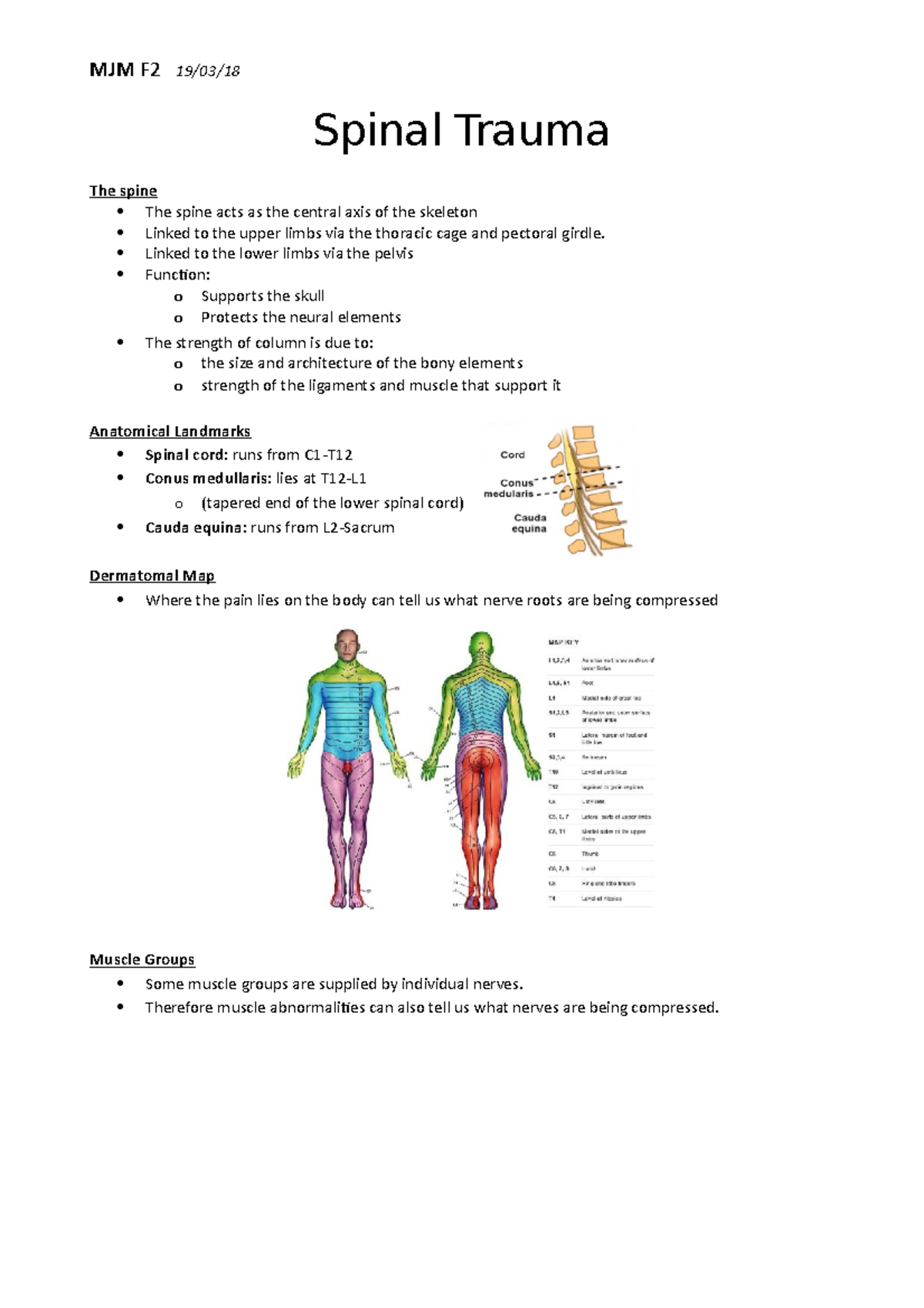 L12 Spinal Trauma - Lecture notes 12 - Spinal Trauma The spine The ...