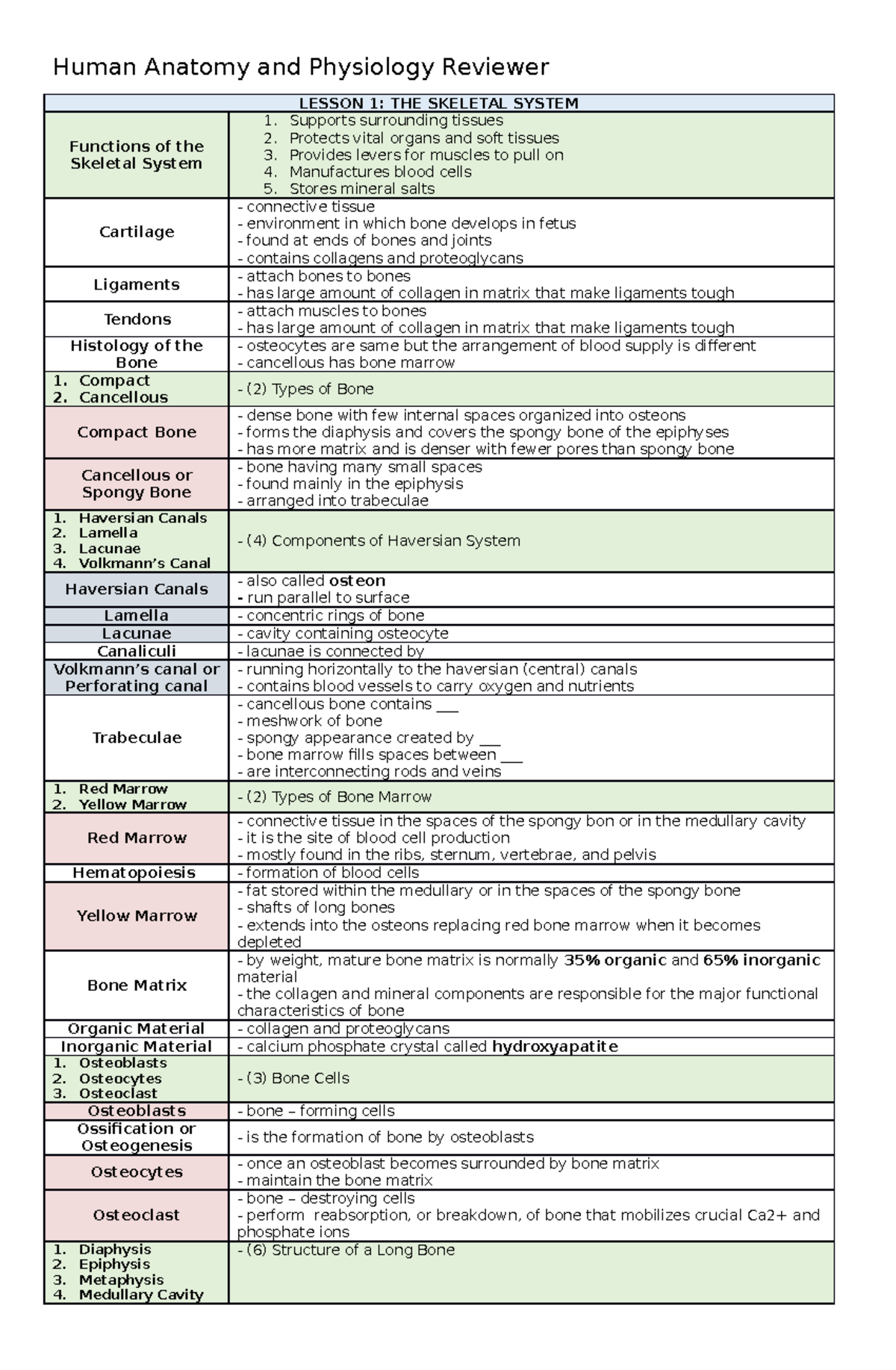 Human Anatomy And Physiology Midterm Reviewer Human Anatomy And 