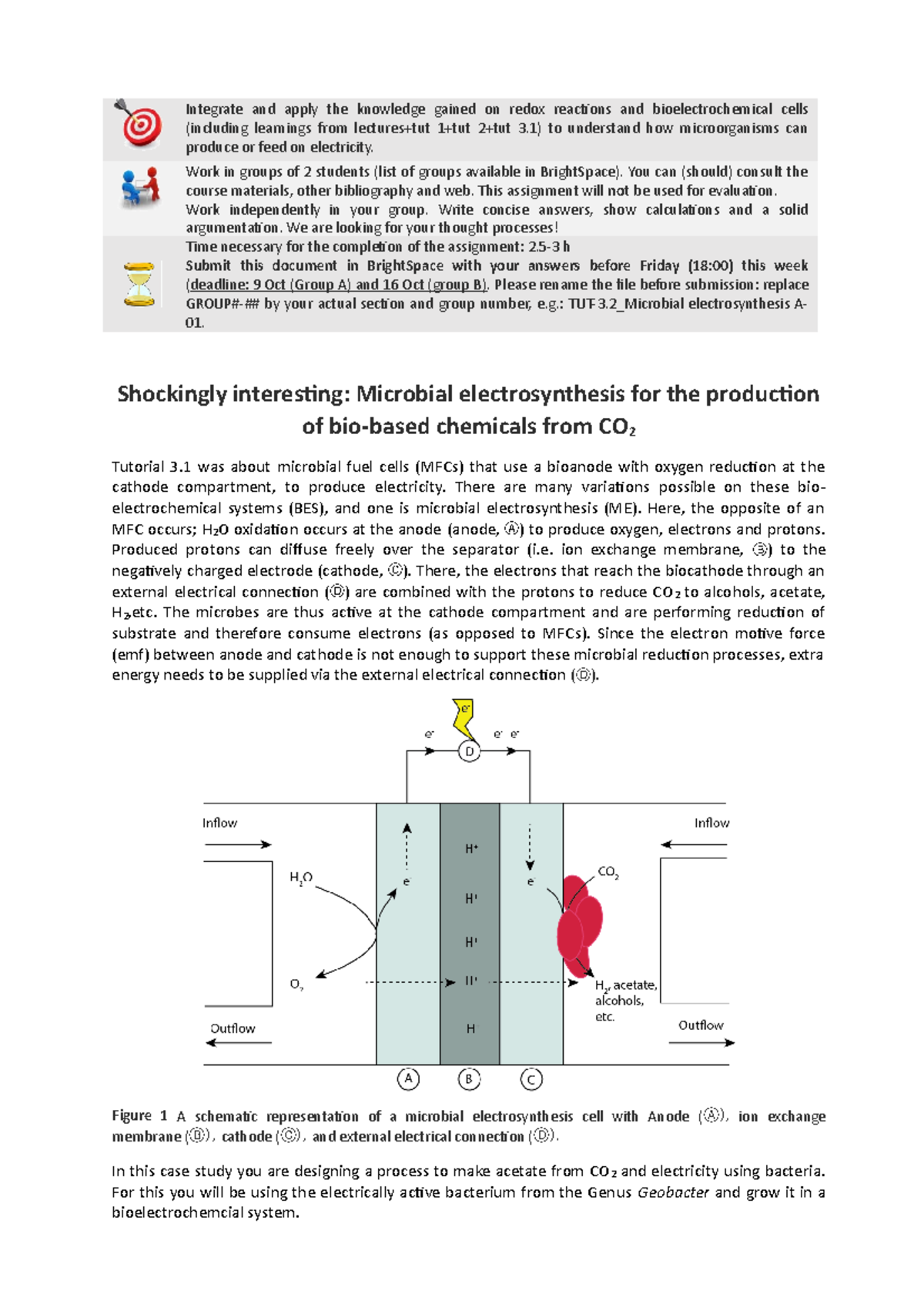 Tut-3.2-Bioelectrosynthesis - Integrate and apply the knowledge gained ...