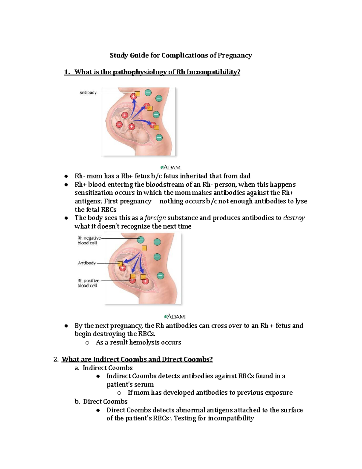Study Guide for Complications of Pregnancy - What is the ...