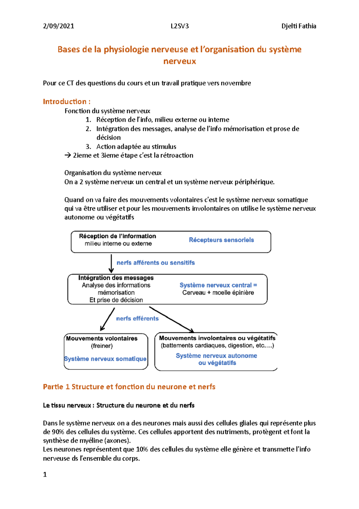 Physiologie nerveuse 3.03A - djelti Fatiha - Bases de la physiologie nerveuse et l’organisation ...