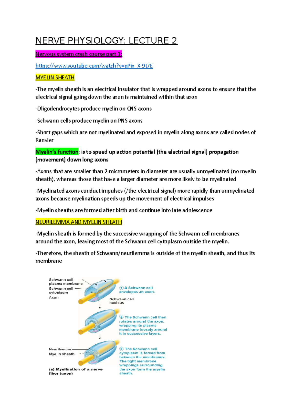 Nerve Physiology PART 2 - NERVE PHYSIOLOGY: LECTURE 2 Nervous system crash course part 1: - Studocu