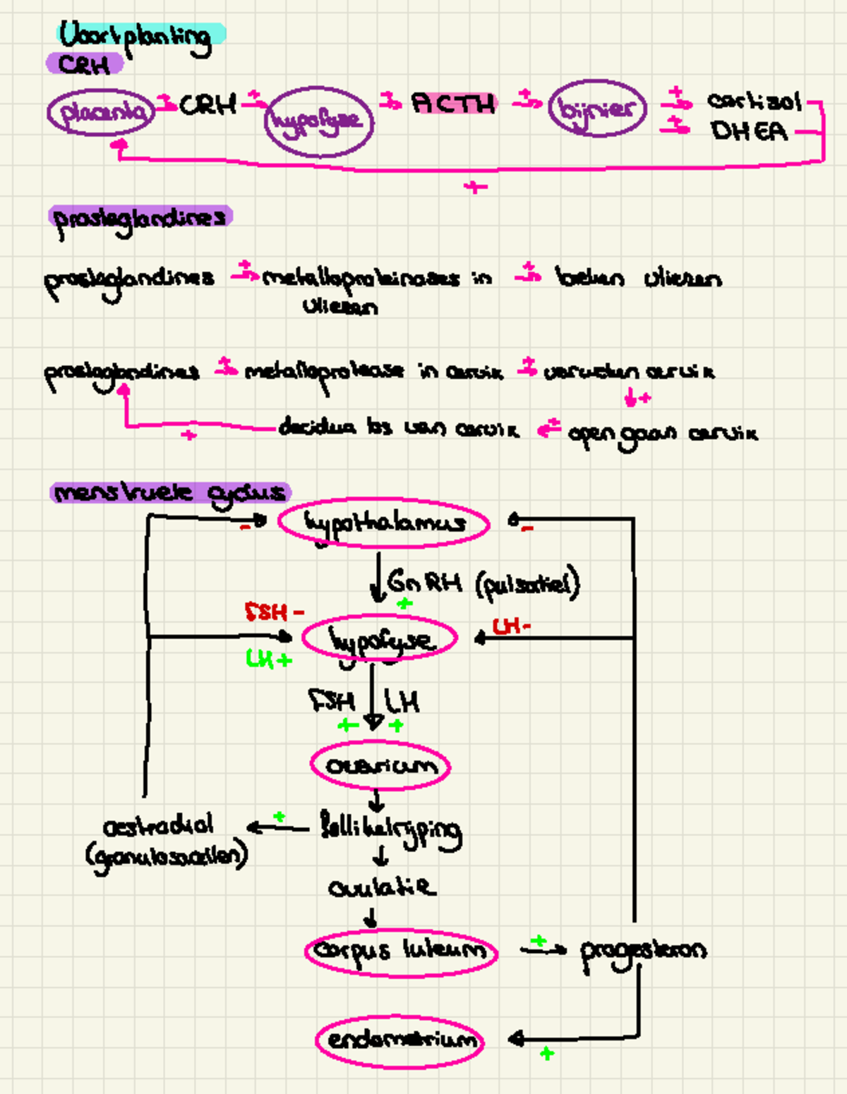Regelkringen Om Te Stampen - Voortplanting CRH I plac polyse ACT ...