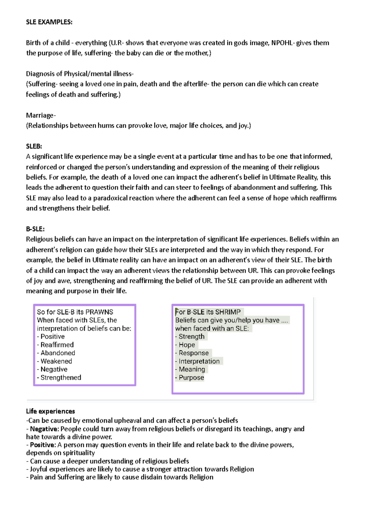 SLE Examples - SLE EXAMPLES: Birth of a child - everything (U- shows ...