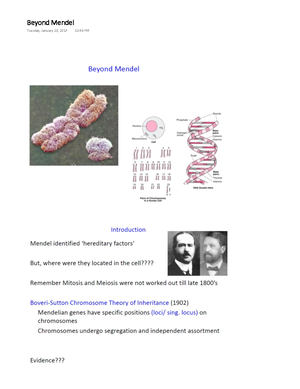 BIOL 1108 - Mendelian Genetics - Warning: TT: undefined function: 32 Warning: TT: undefined ...