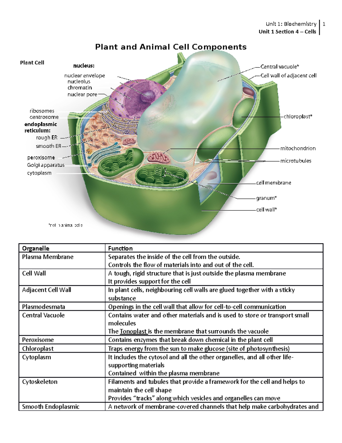 4 - Animal and Plant cell components - Unit 1: Biochemistry 1 Unit 1 ...