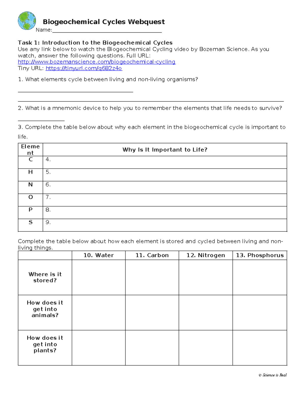 Biogeochemical Cycles Webquest Handout - Biogeochemical Cycles Webquest ...
