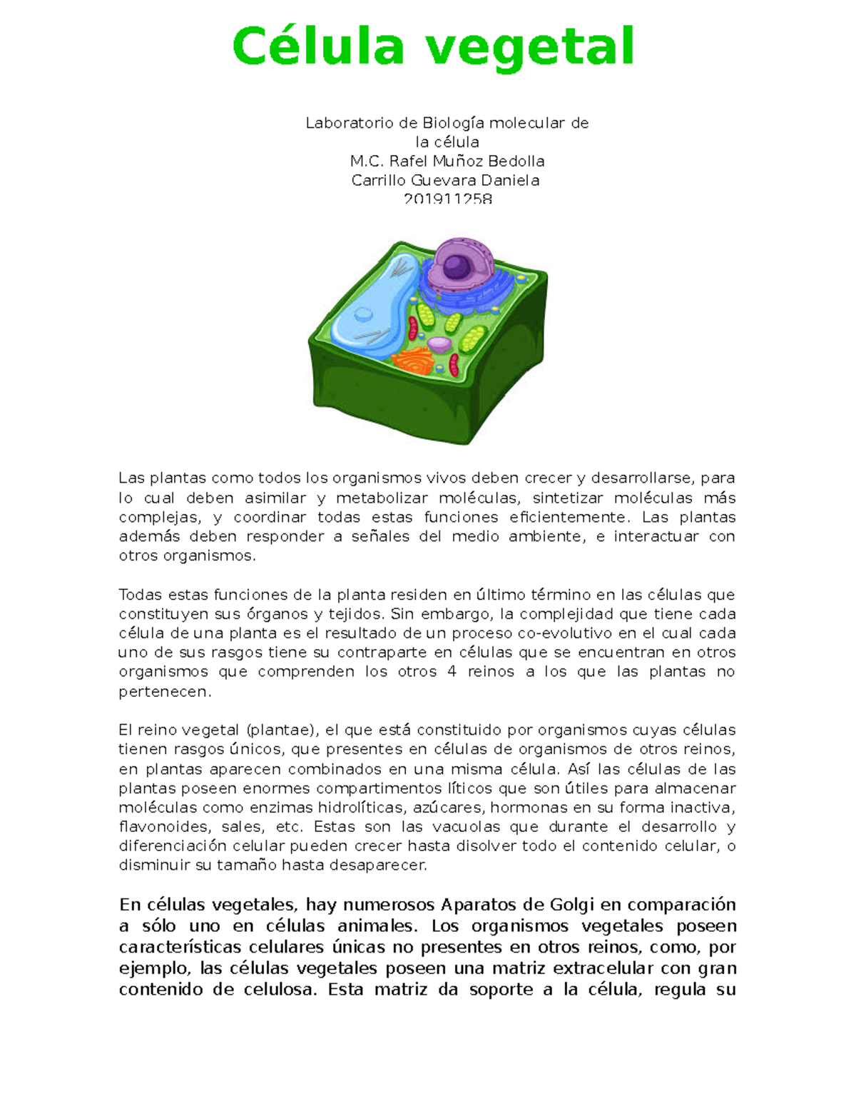 Célula vegetal - Las plantas como todos los organismos vivos deben ...