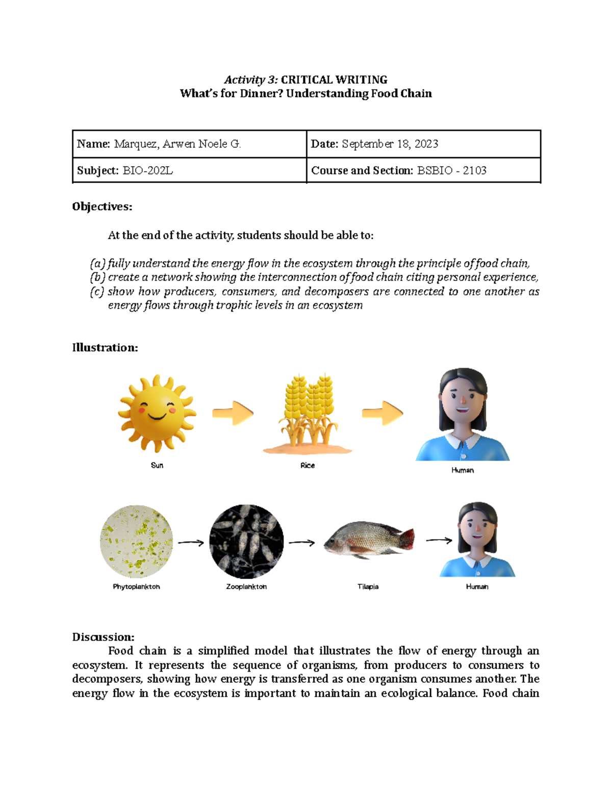 Energy Flow in the Ecosystem - Activity 3: CRITICAL WRITING What’s for ...