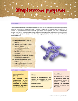 Tema 10 Microflora normal del cuerpo humano - Flora residente y ...