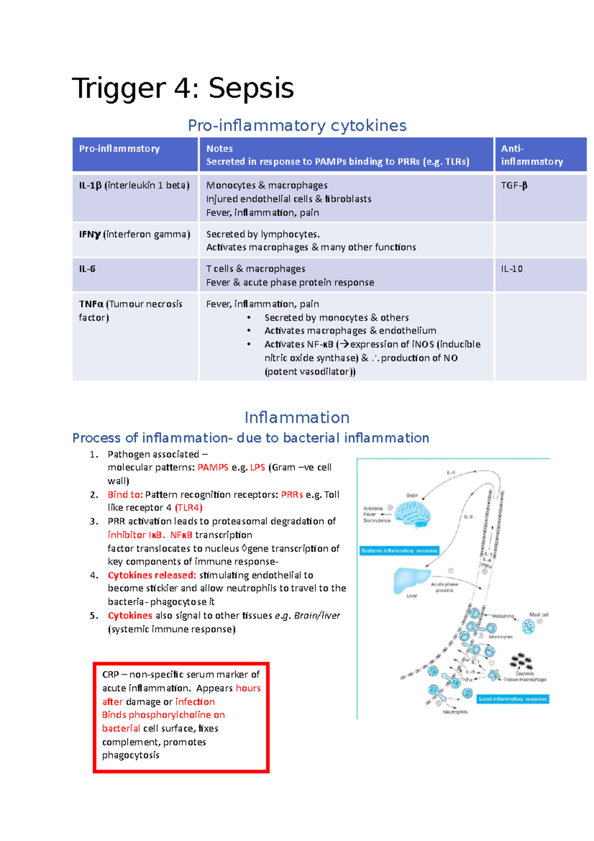 Sepsis - notes - Trigger 4: Sepsis Pro-inflammatory cytokines Pro ...