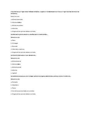 Huesos de la cara prelectura - Los orificios posteriores de las ...