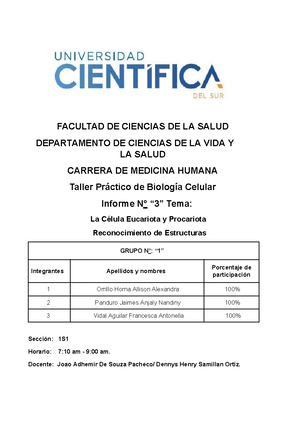 NRS 2002 herramienta - notes - NUTRITIONAL RISK SCREENING Screening ...