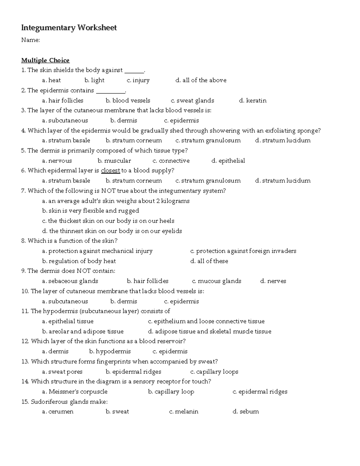 Integumentary System Worksheet - Integumentary Worksheet Name: Multiple ...