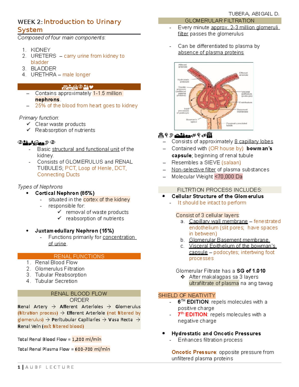 AUB F Lecture Prelims - WEEK 2: Introduction to Urinary System Composed ...