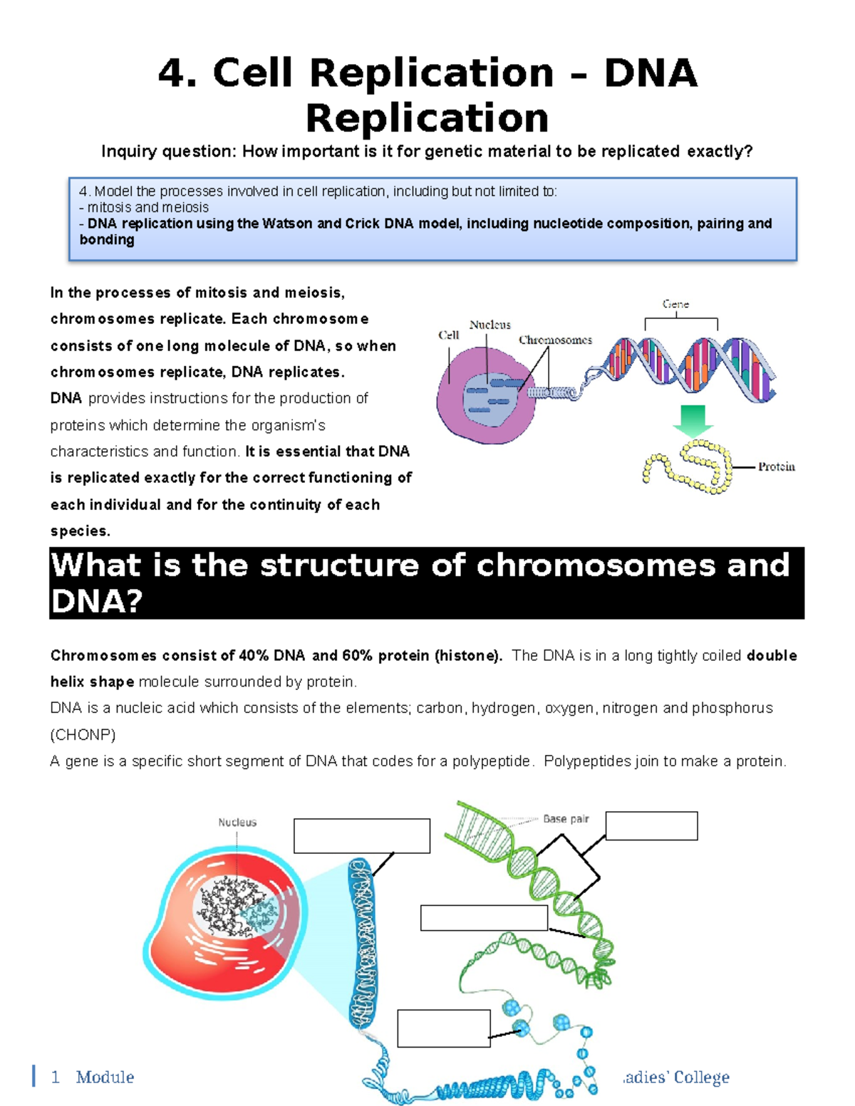 4. Cell Replication - DNAReplication 2025 - 4. Cell Replication – DNA ...