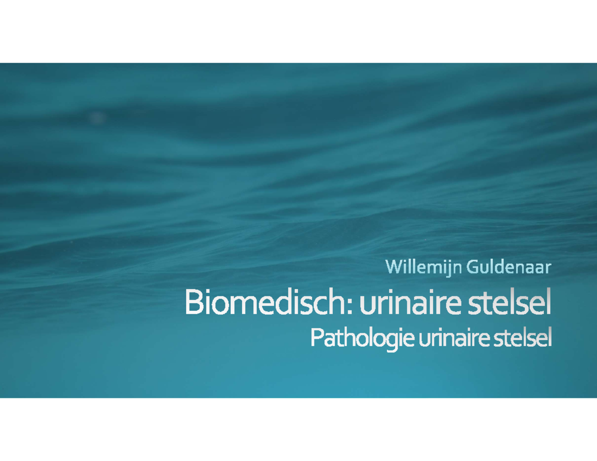 Biomedisch les 2 - kennisclip pathologie urinaire stelsel PDF - (pyelum ...