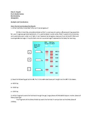 M4 Assignment - Glycolysis - Hina K. Huynh Prof. Shalini Varma Biochemistry 30Jun2021 1. Give a ...