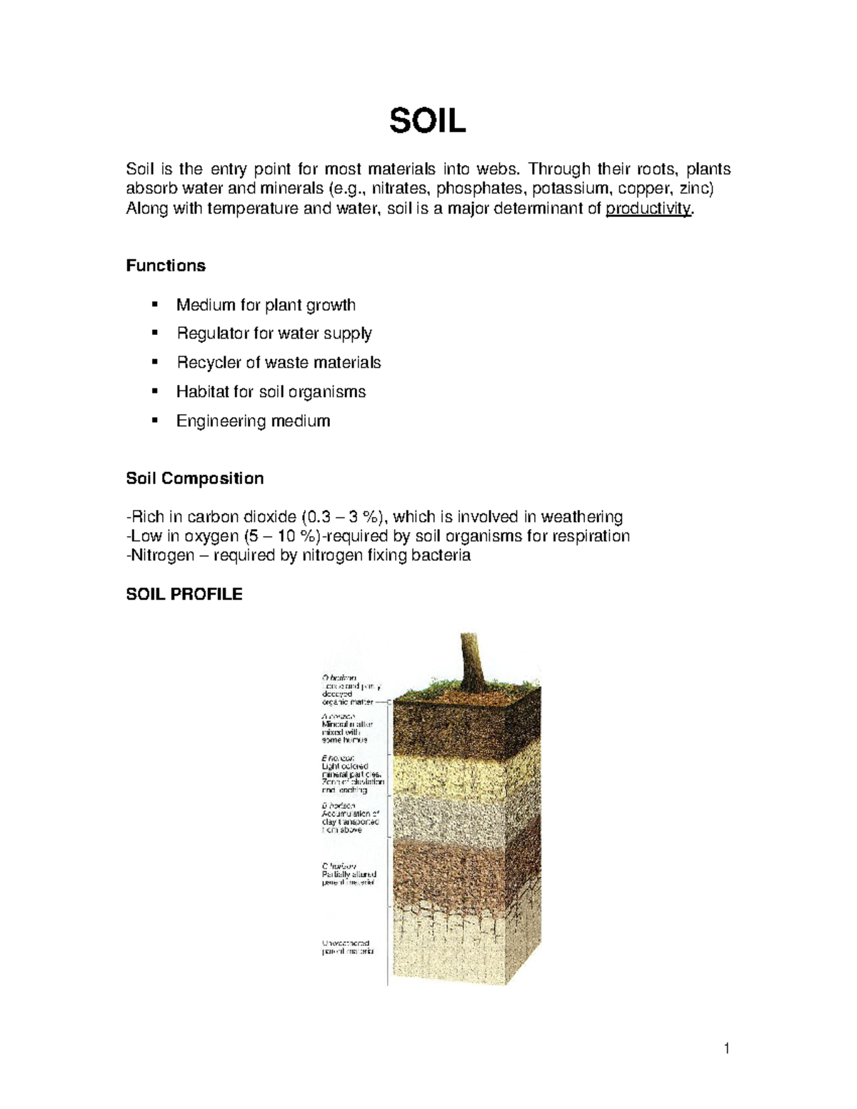 SOIL-lecture - soil lecture - SOIL Soil is the entry point for most ...