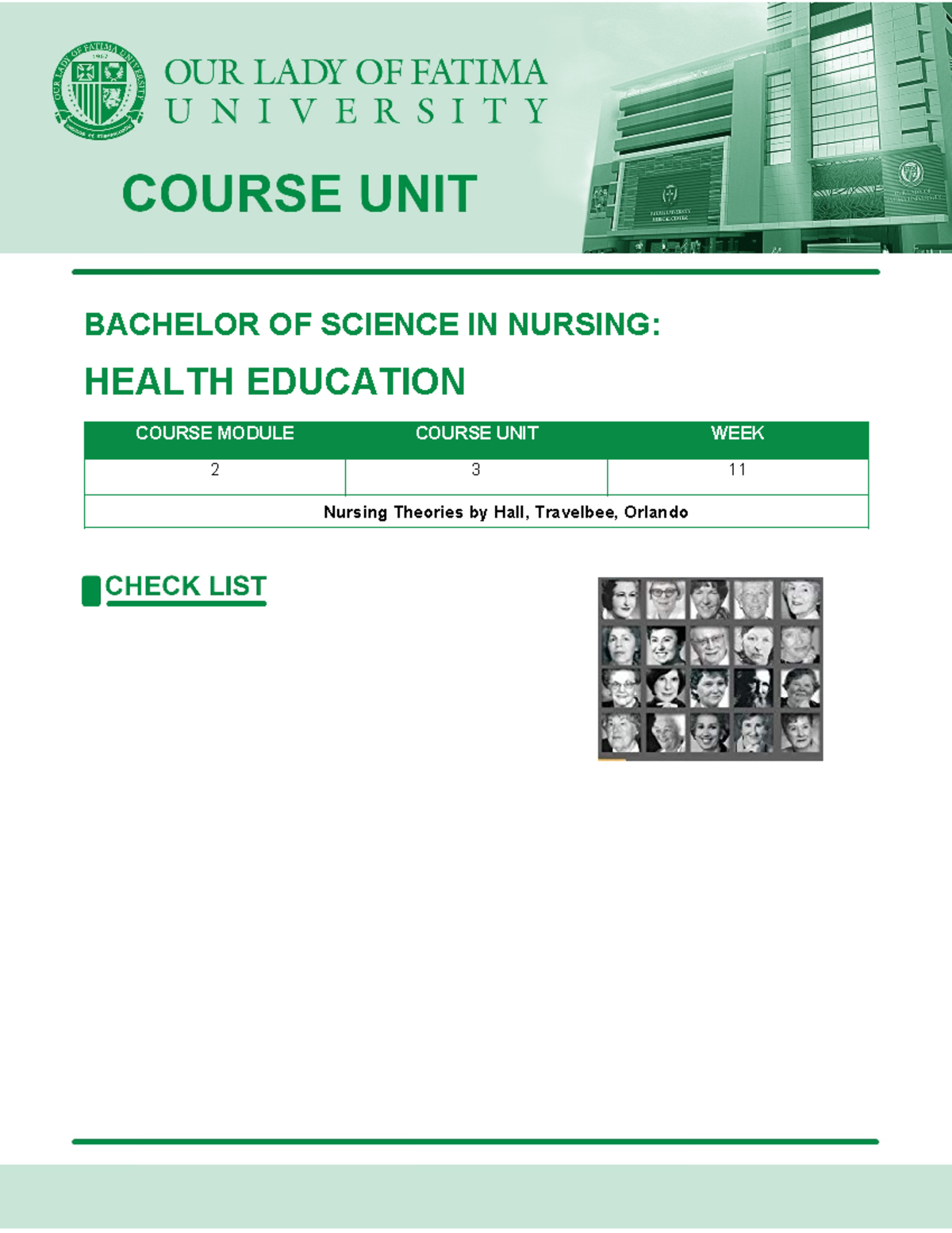 CU-11.Nursing Theories of Hall, Newman and Levine - BACHELOR OF SCIENCE ...