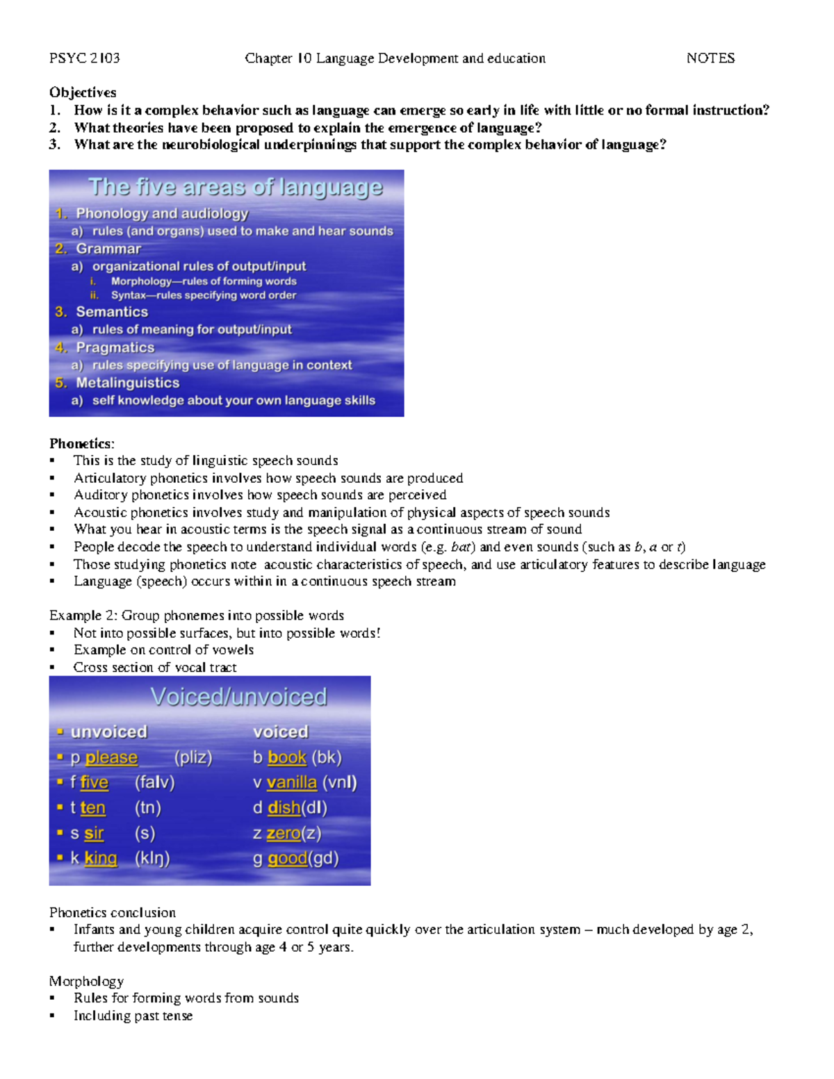 2103 Chapter 10 Language Development and education - PSYC 2103 Chapter ...