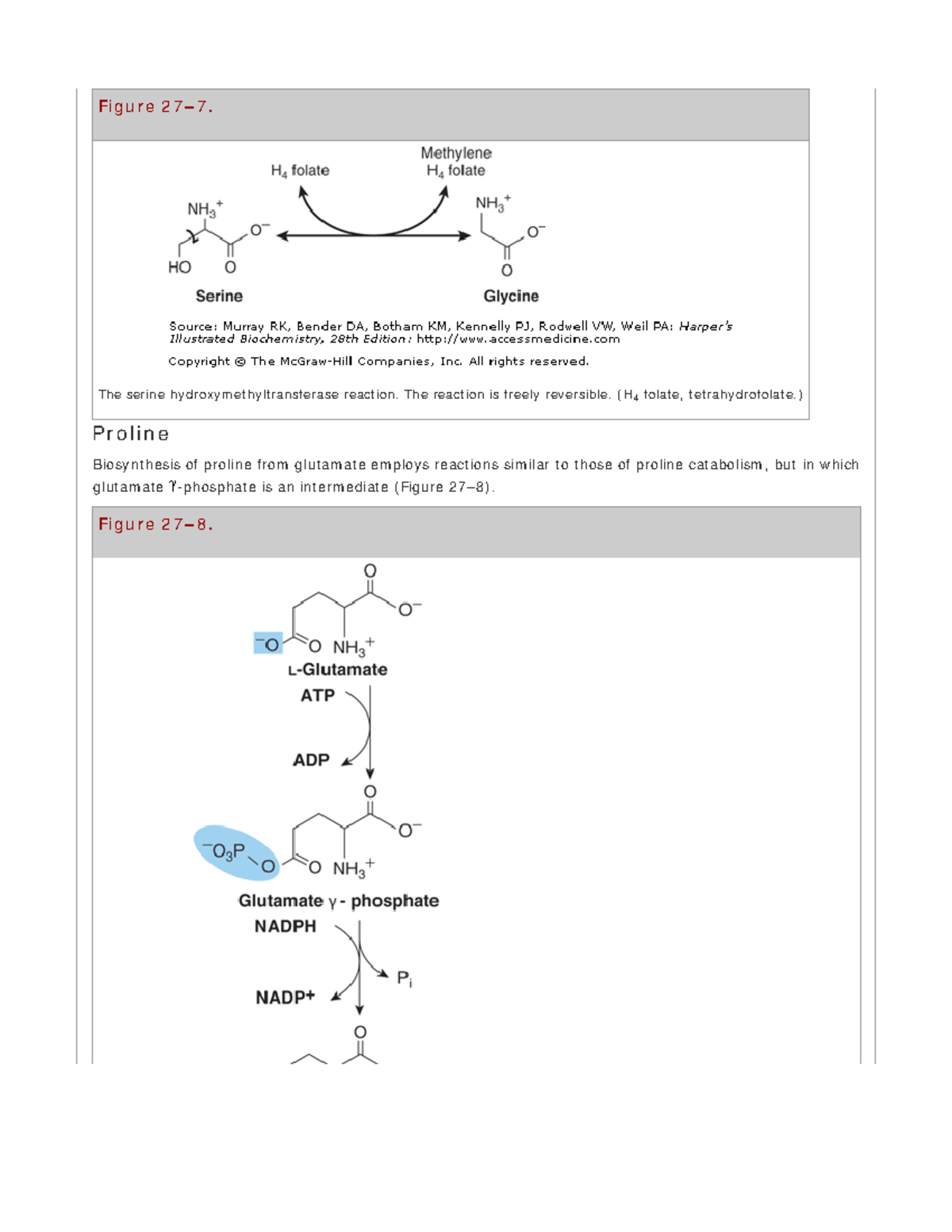 Harpers illustrated biochemistry 28th edition 54 - Figu r e 2 7 – 7 ...