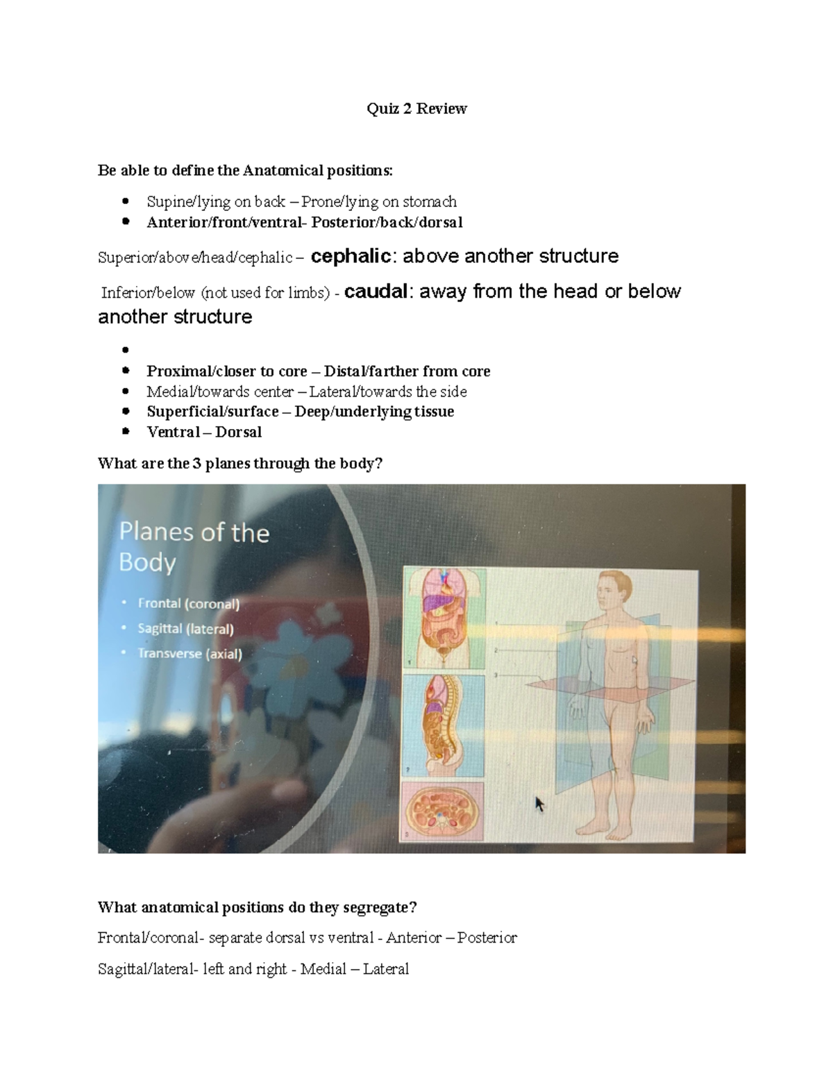 Quiz 2 Review - Medical Terminology Master of Biomedical Sciences ...