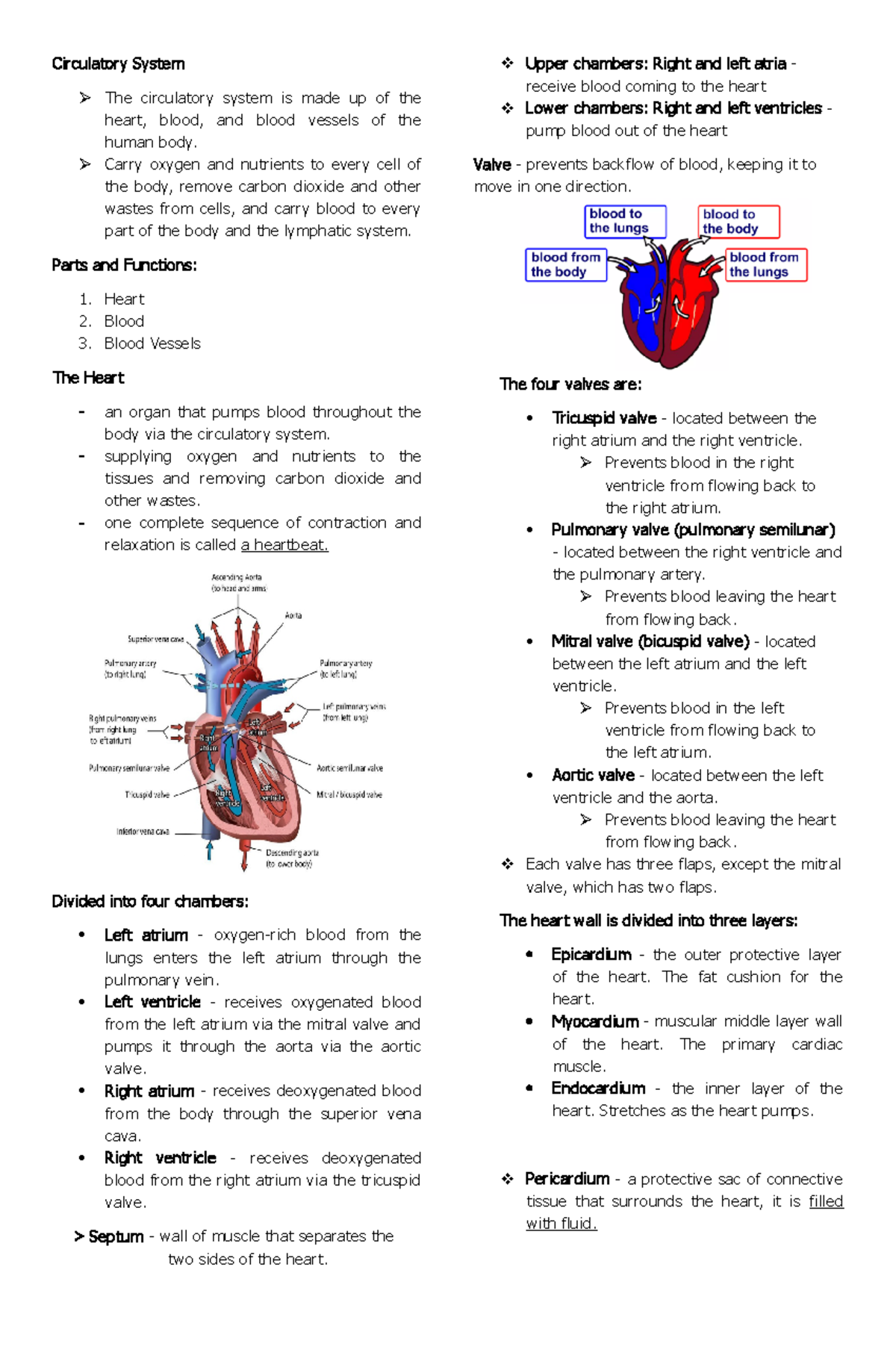 Circulatory-System-Final-handouts - Circulatory System The circulatory ...