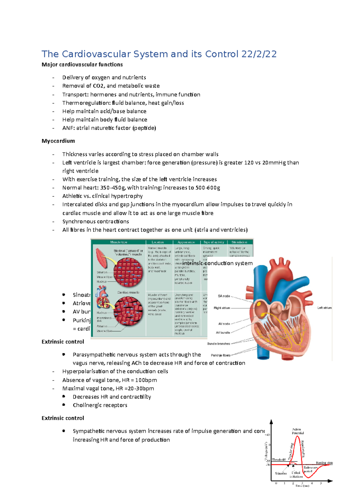 KIN 320 Notes- Cardiovascular System - The Cardiovascular System and ...