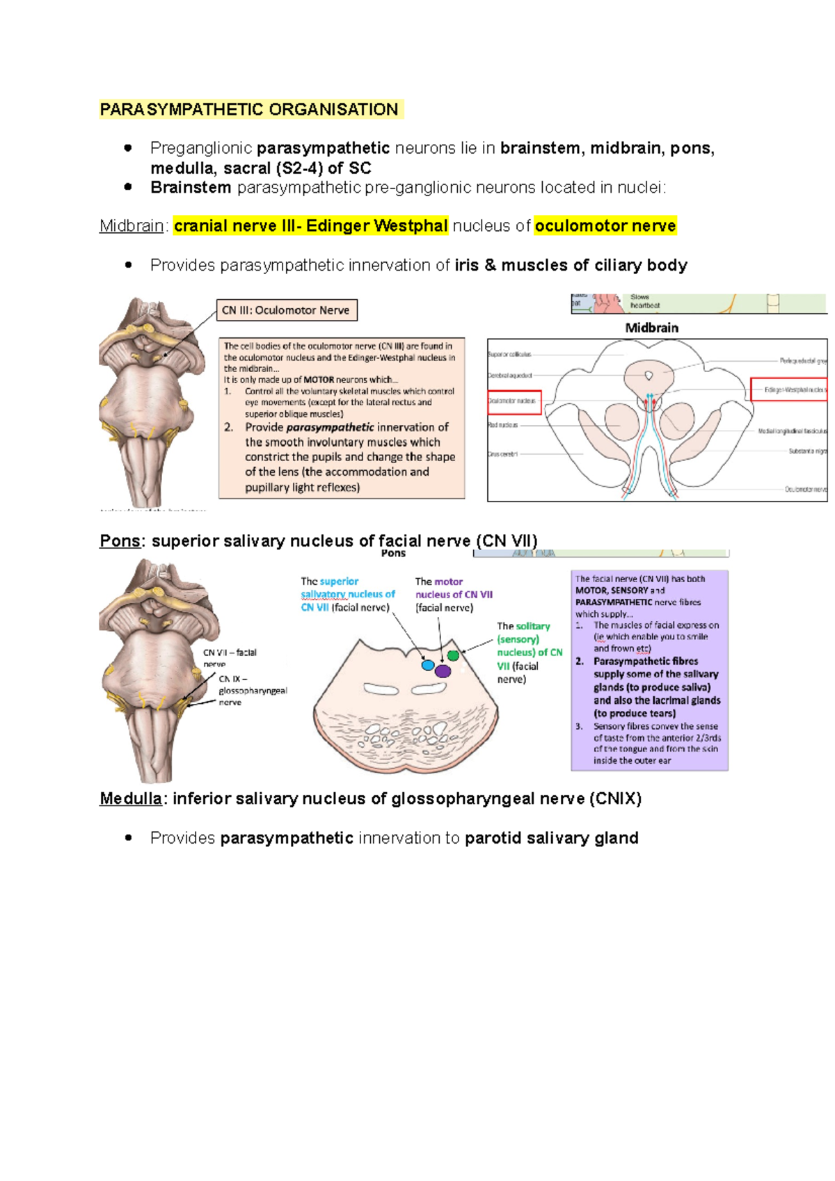 Parasympathetic Organisation - PARASYMPATHETIC ORGANISATION ...