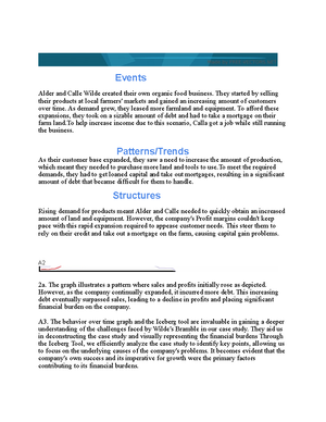 D372 Task 2 - passed - WMM1 Task 2: Applies Systems Thinking A1. Case ...