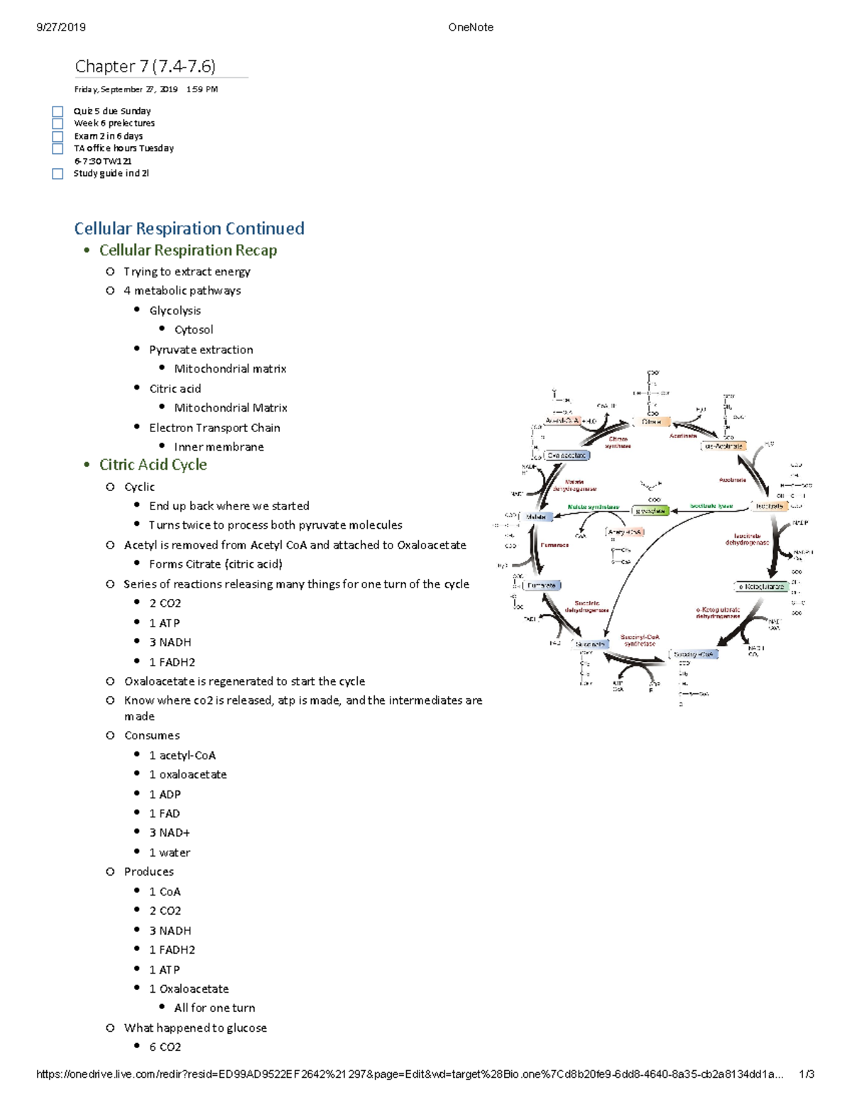 Chapter 7 sections 4,5 and 6 - Warning: TT: undefined function: 32 9/27 ...
