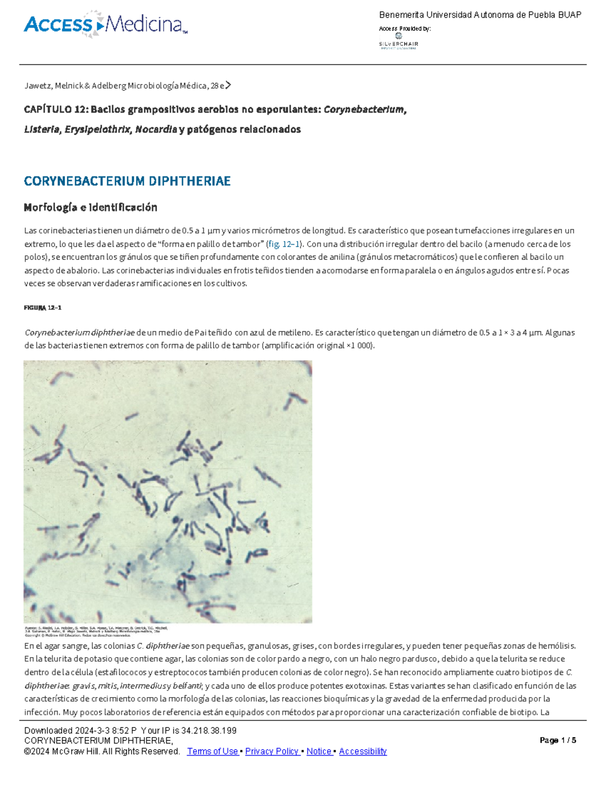 Corynebacterium Diphtheriae - Jawetz, Melnick & Adelberg Microbiología ...