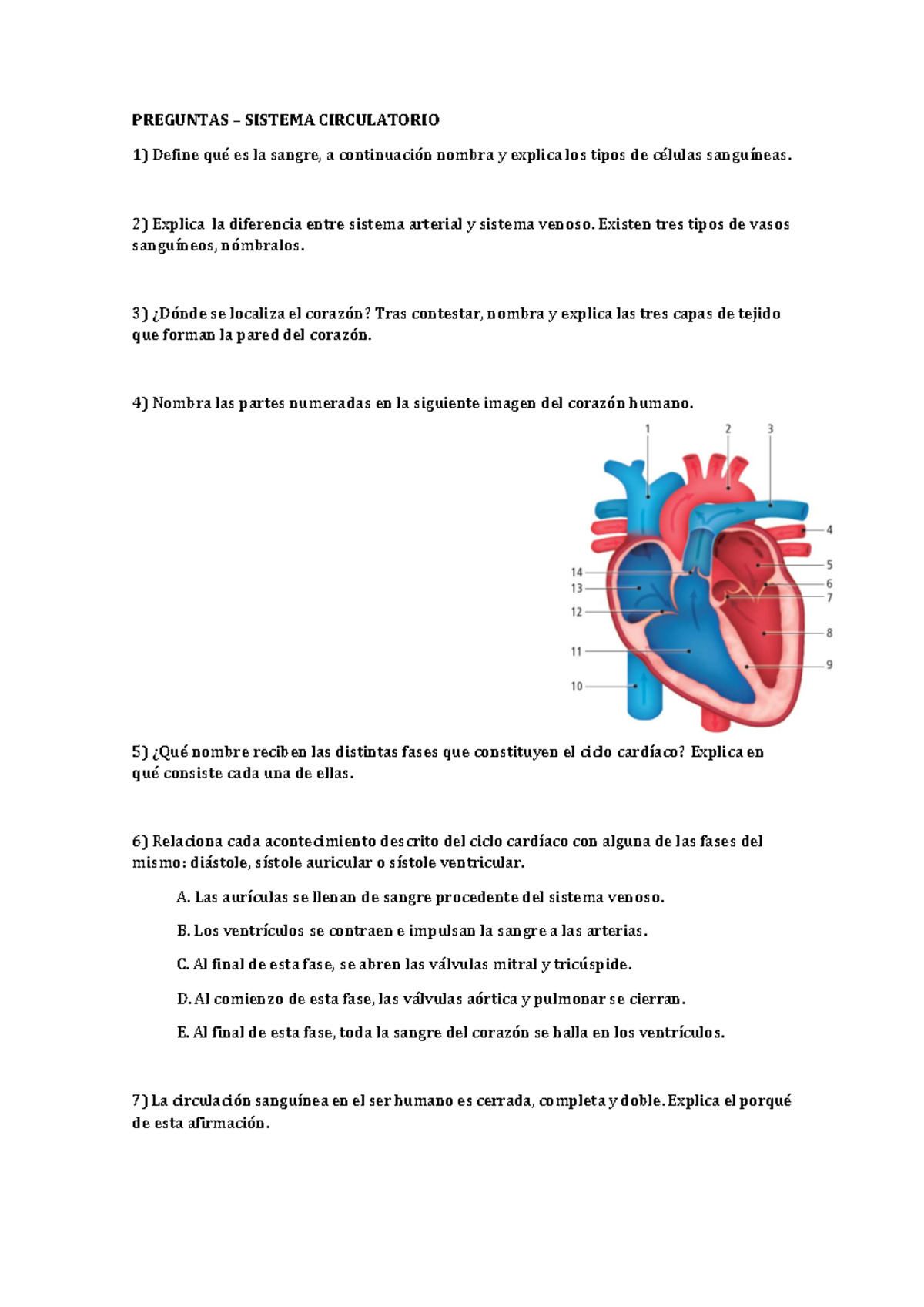 Sistema circulatorio - Preguntas - PREGUNTAS – SISTEMA CIRCULATORIO ...
