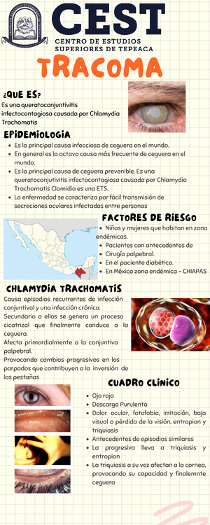 Tracoma - Infogafría - FASES ALUMNA: SAENZ VELEZ SANDRA PAOLA DOCENTE ...