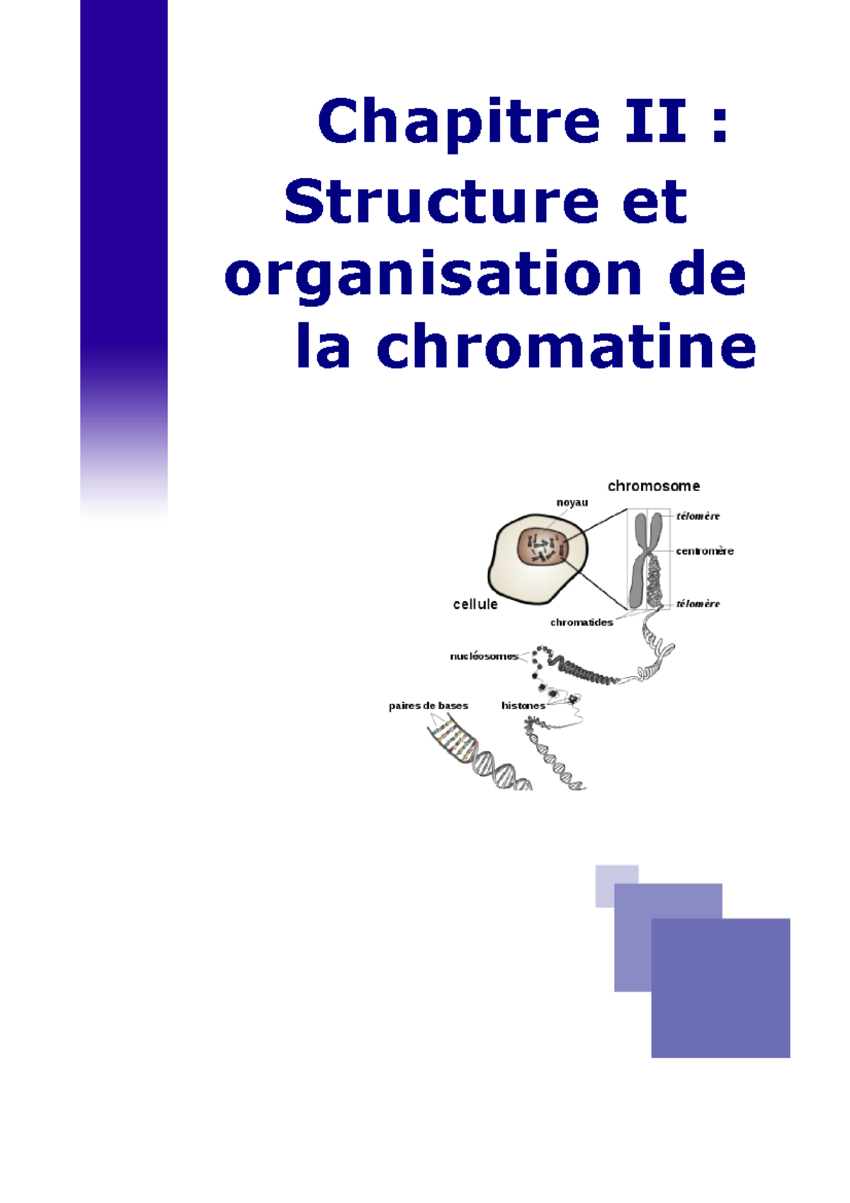 Chapitre II Structure et organisation de la chromatine cours - Chapitre ...